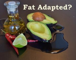 What Is Fat Adapted And How To Tell If I Am? - Shed And Shape