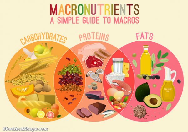 What is a Macro Diet? Does it Work For Weight Loss? - Shed And Shape